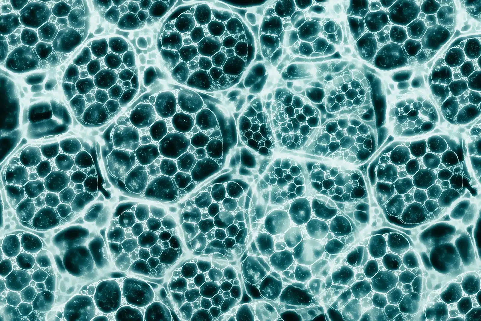 Substance or device - a distinction without a difference? - evolve